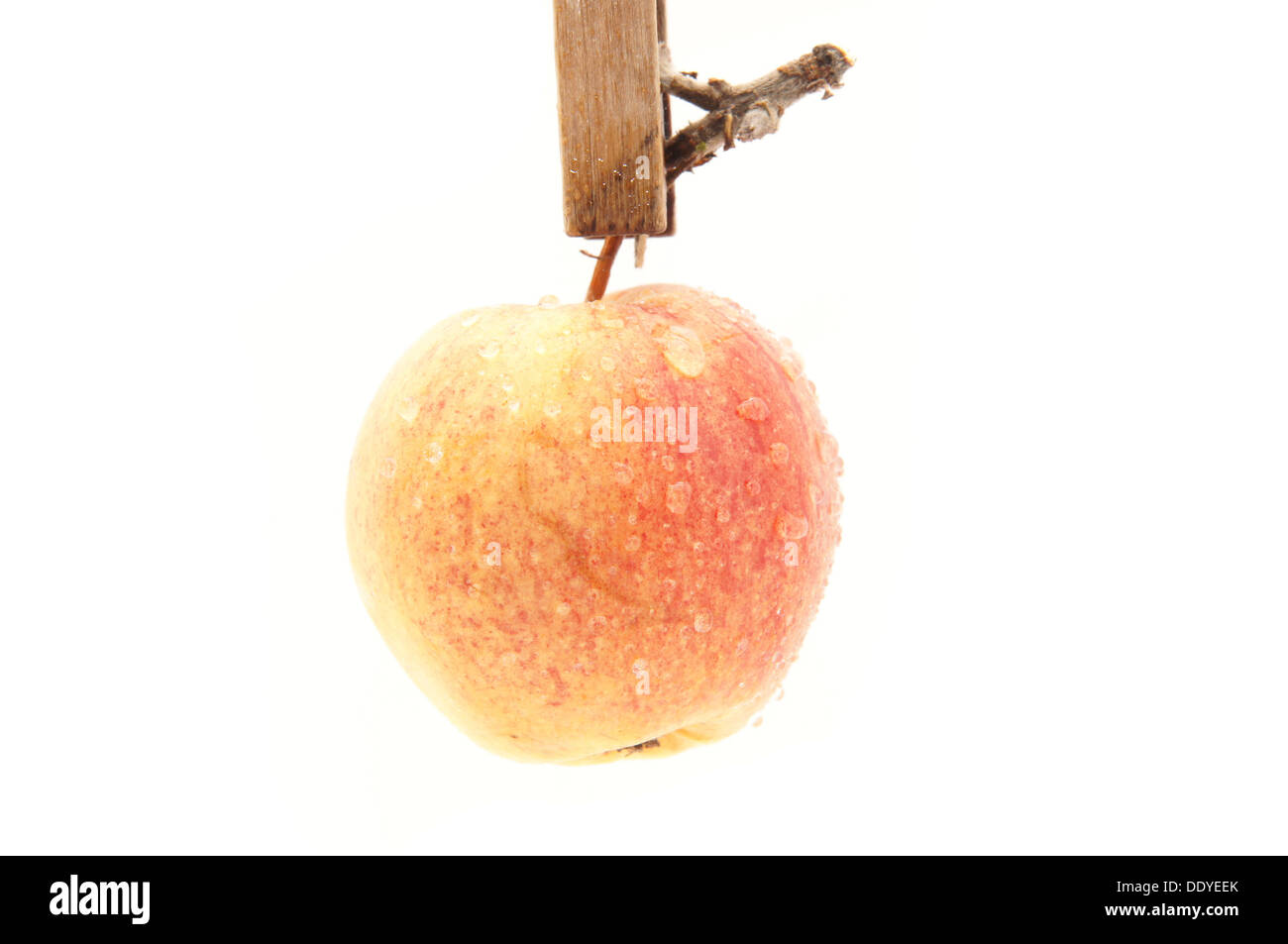Apple, clothespin and rope on a white background Stock Photo - Alamy