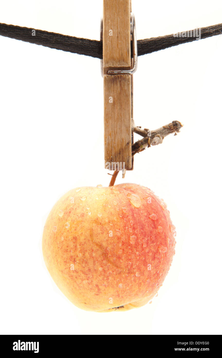 Apple, clothespin and rope on a white background Stock Photo - Alamy