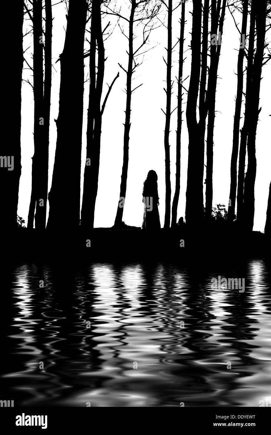 Light lit tree silhouette Black and White Stock Photos & Images - Alamy