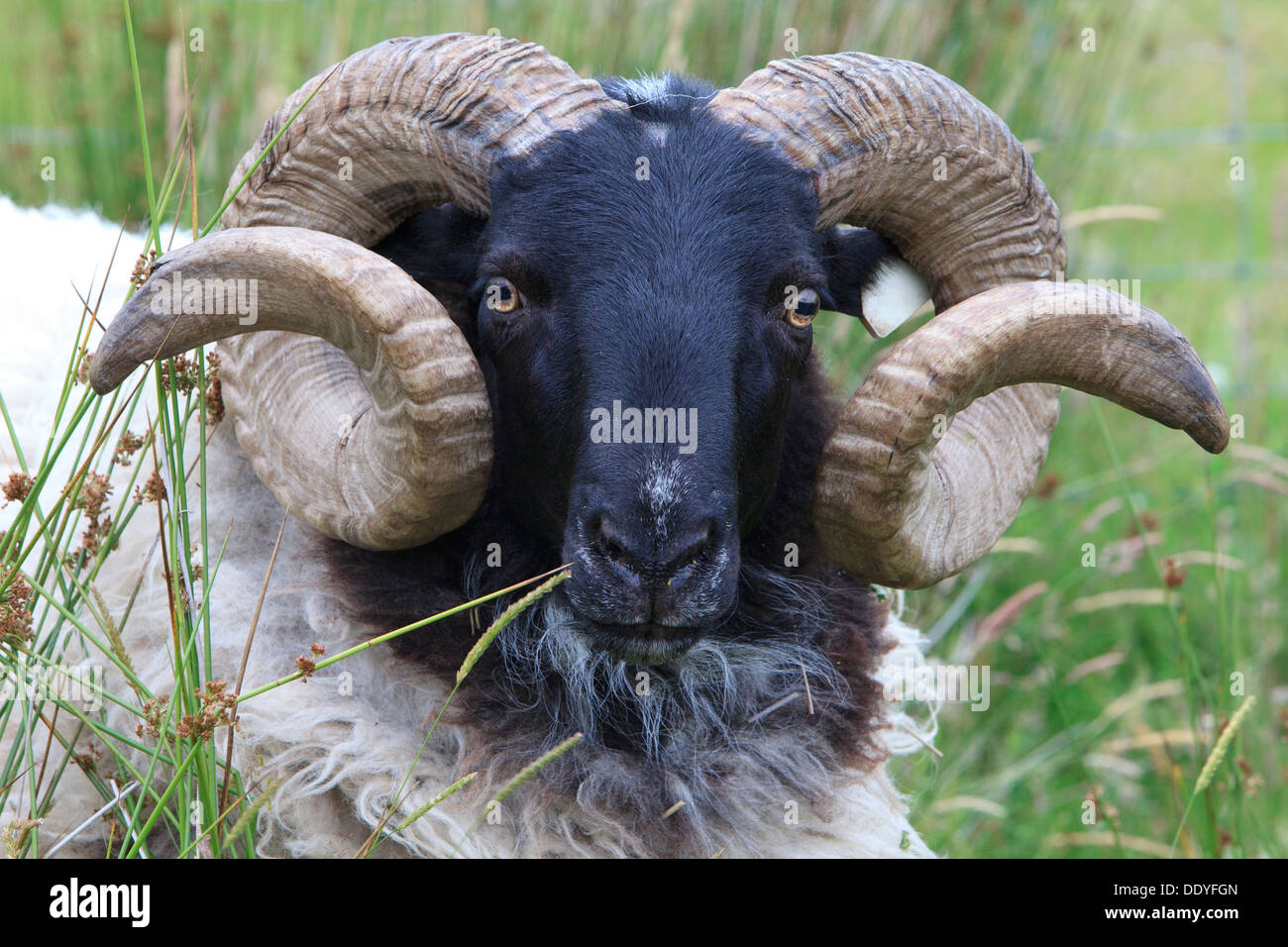 Doulough pass hi-res stock photography and images - Alamy