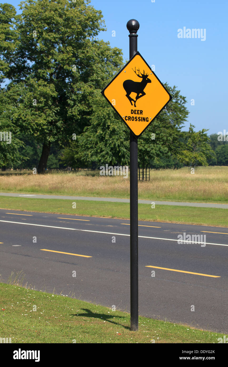 Deer crossing traffic sign in the Phoenix Park in Dublin, Ireland Stock ...