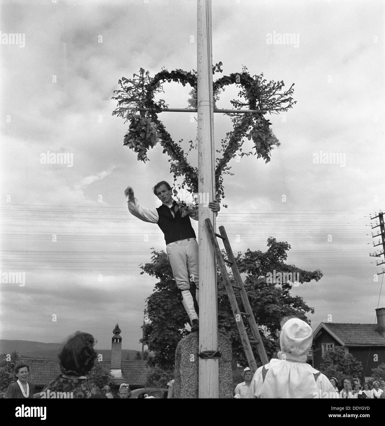 Raising the maypole for the Midsummer celebrations, Sweden, 1951 ...