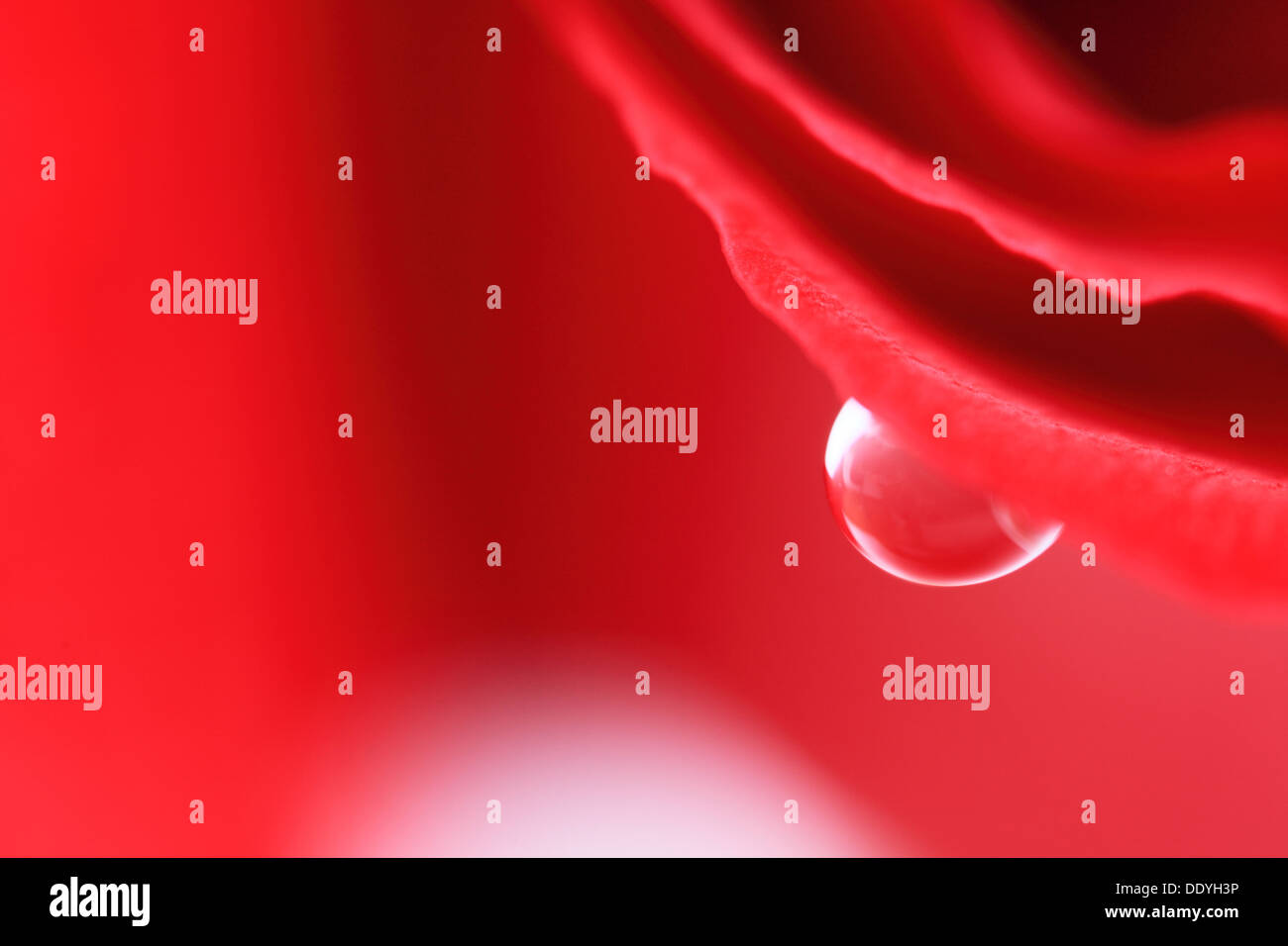 Flower Whirl High Resolution Stock Photography and Images - Alamy