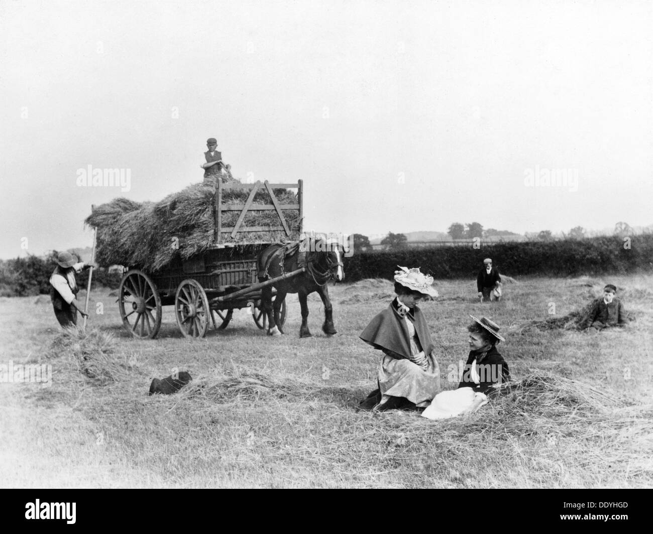 Haymaking, Clifton, Nottinghamshire, 1895. Artist: Unknown Stock Photo ...