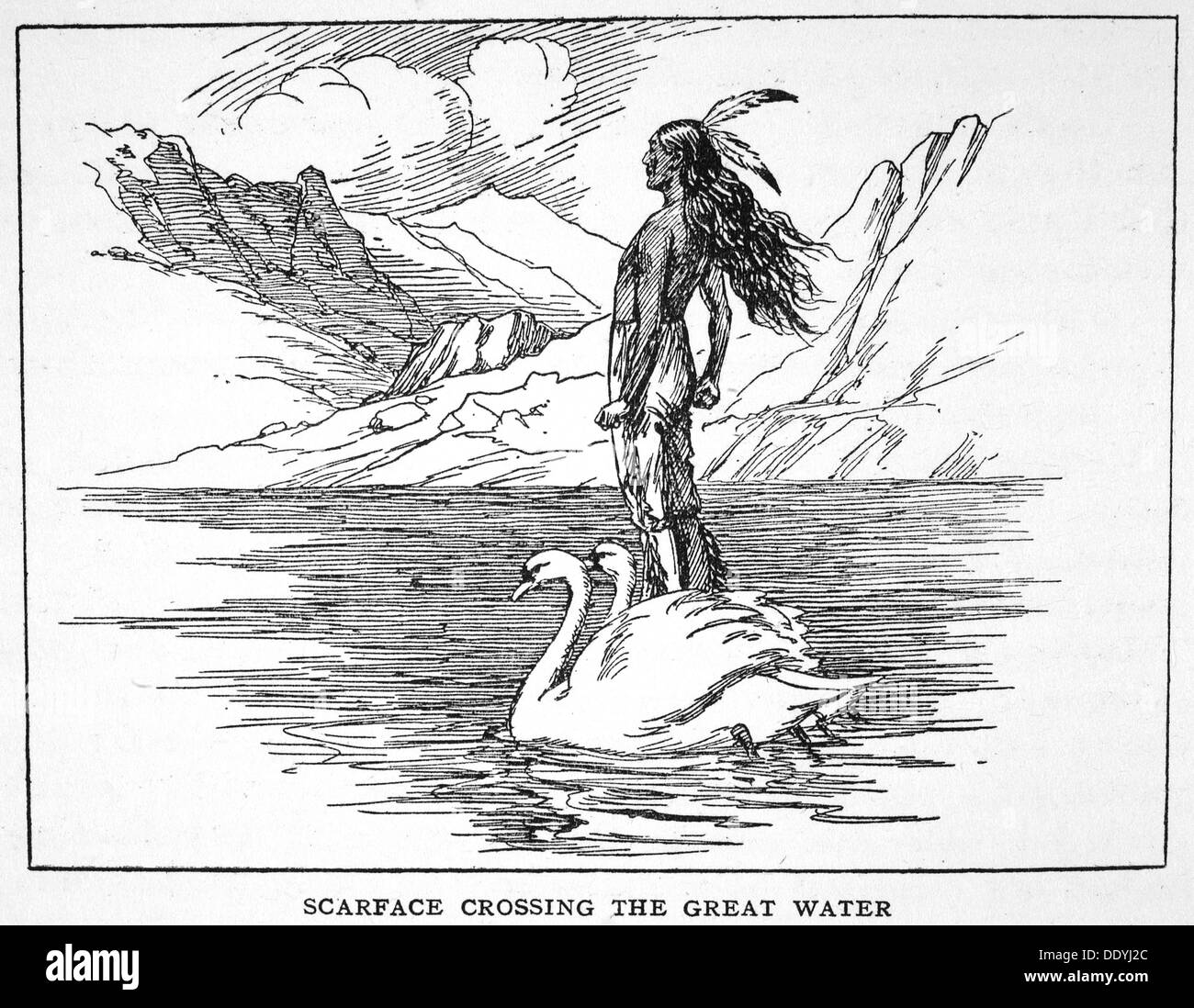 Birds unknown Black and White Stock Photos & Images - Alamy