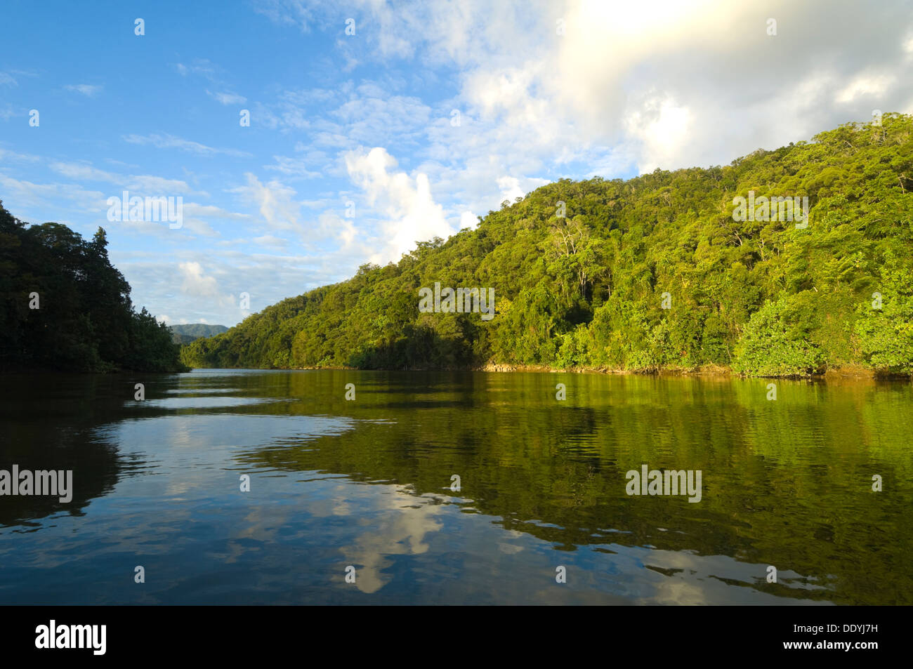 Daintree river australia hi-res stock photography and images - Alamy