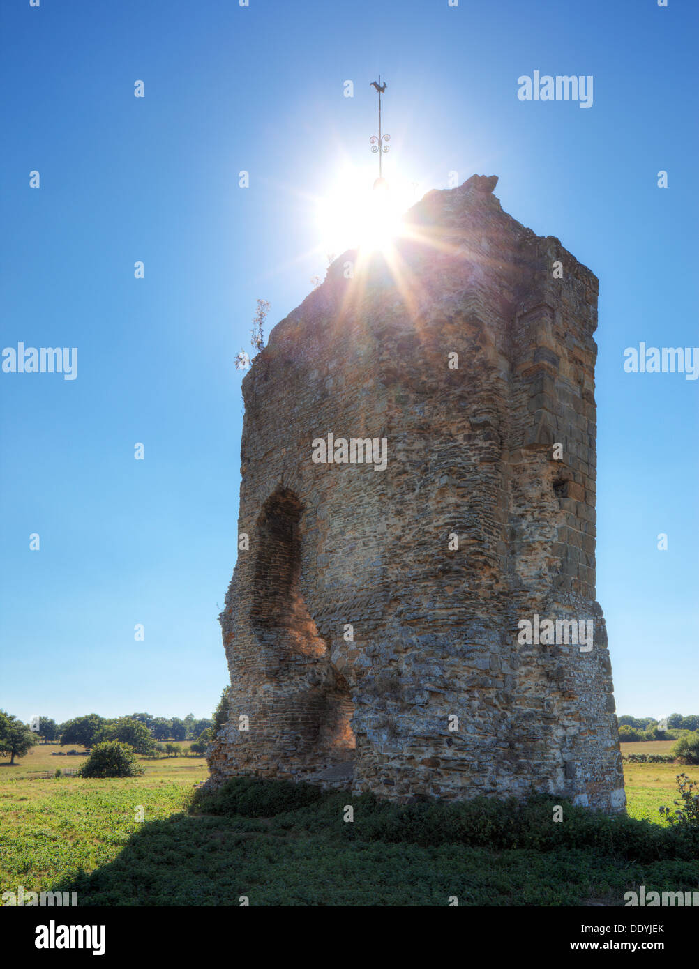 Knepp castle hi-res stock photography and images - Alamy
