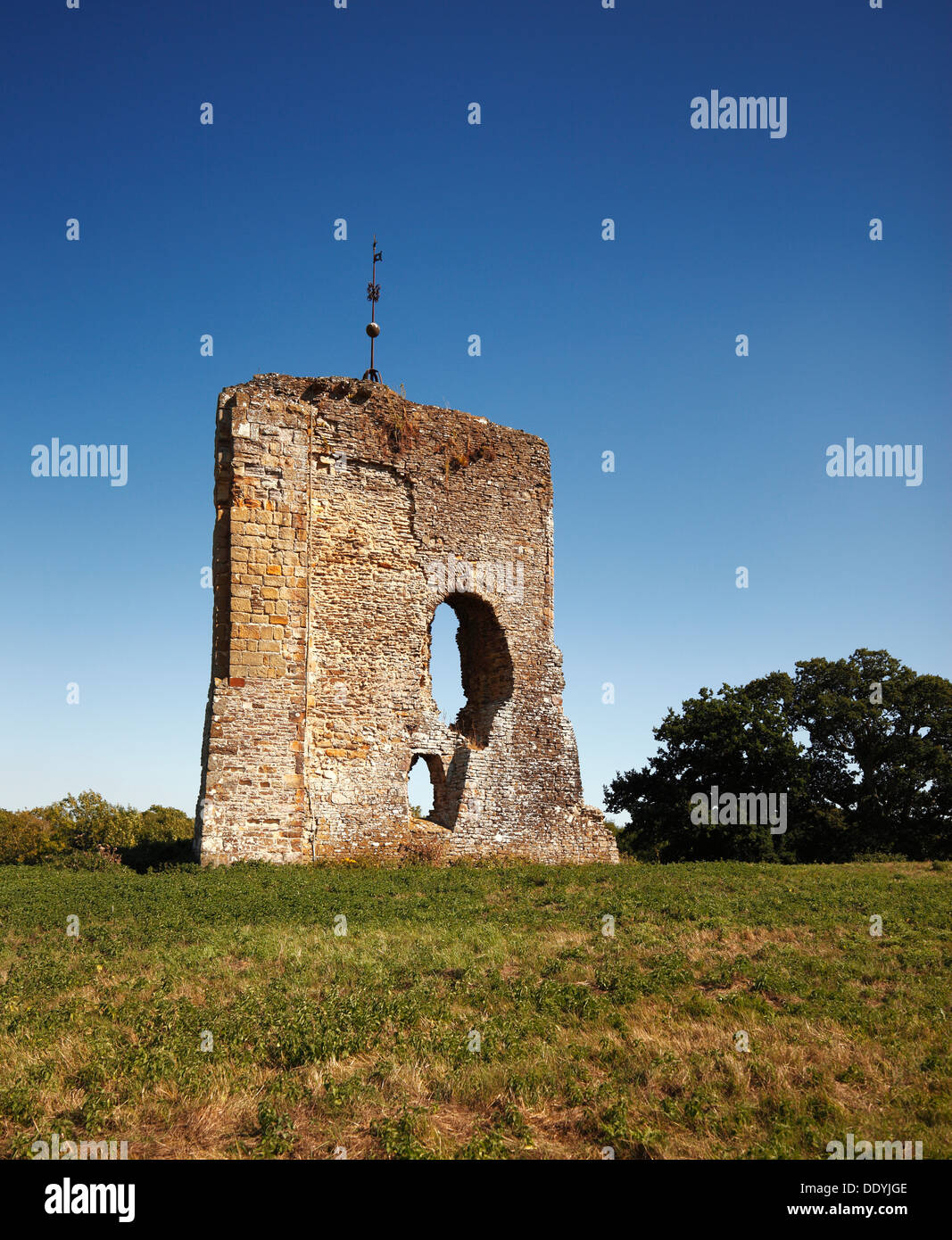 Knepp Castle remains Stock Photo - Alamy
