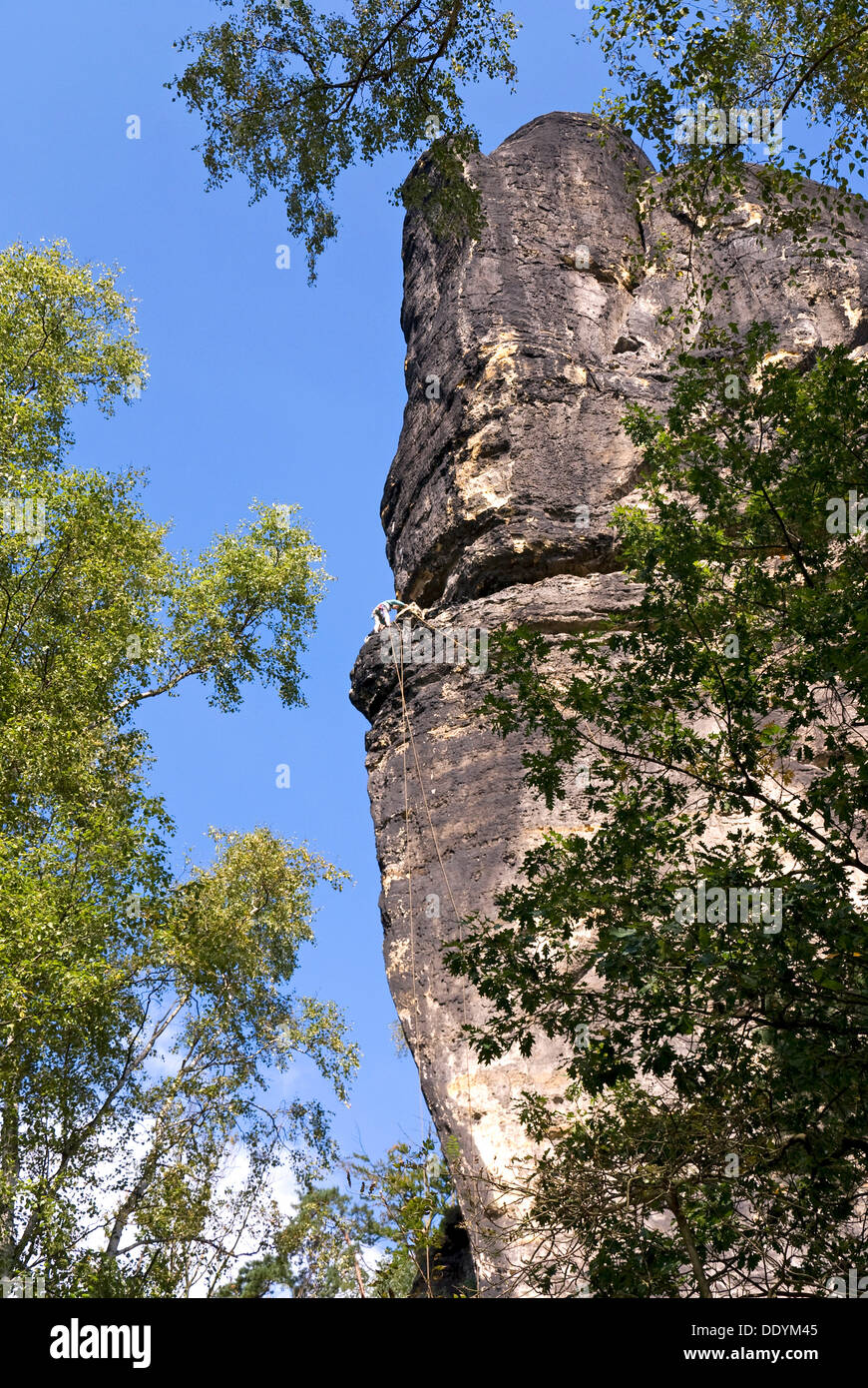 Rock wall for climbing, Saxon Switzerland, Saxony Stock Photo - Alamy