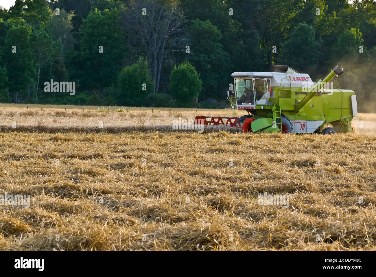Harvester at work Stock Photo - Alamy