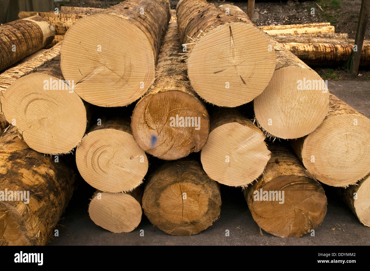 Sawmill, timber trade, logs, timber storage, timber, lumber, Vorarlberg ...