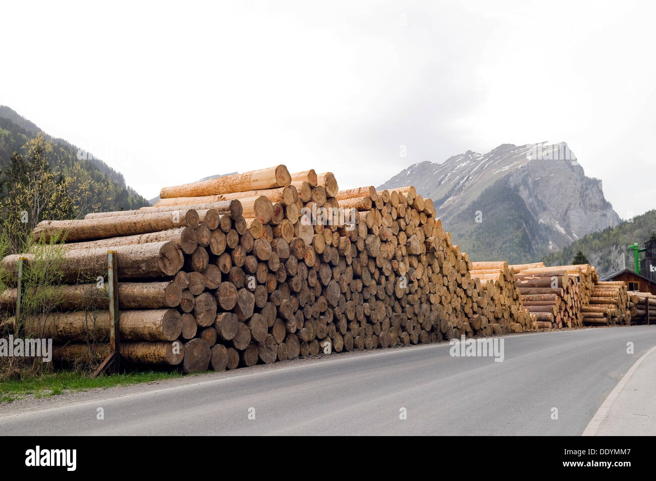 Sawmill, timber trade, logs, timber storage, construction timber ...