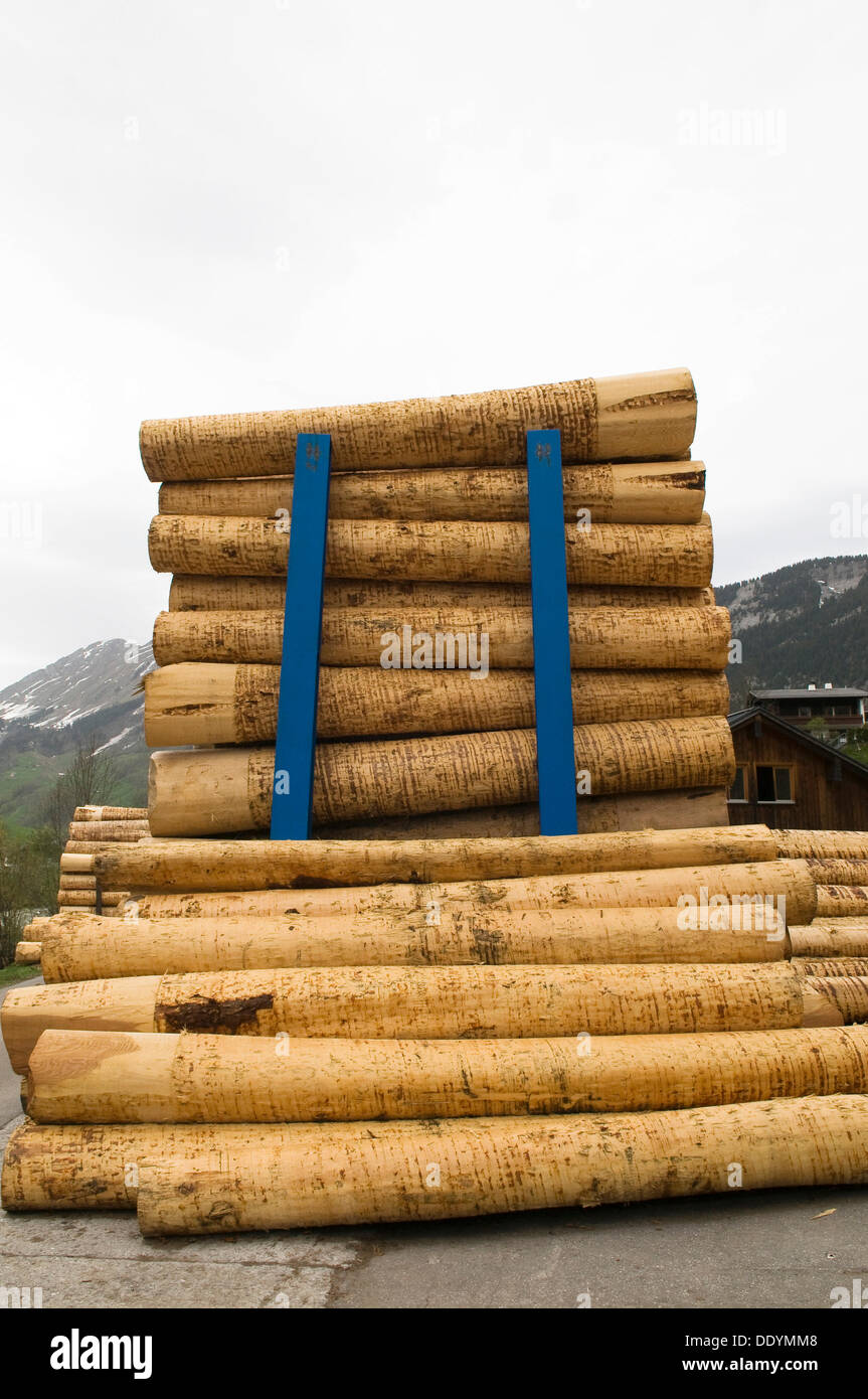 Logs, sawmill, timber trade, timber storage, construction timber or ...