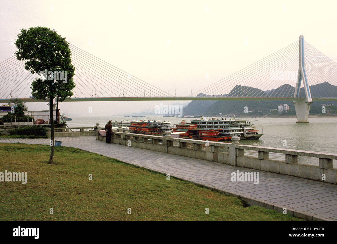 Tour boats moored near the cable-stayed Yiling Yangtze River Bridge ...