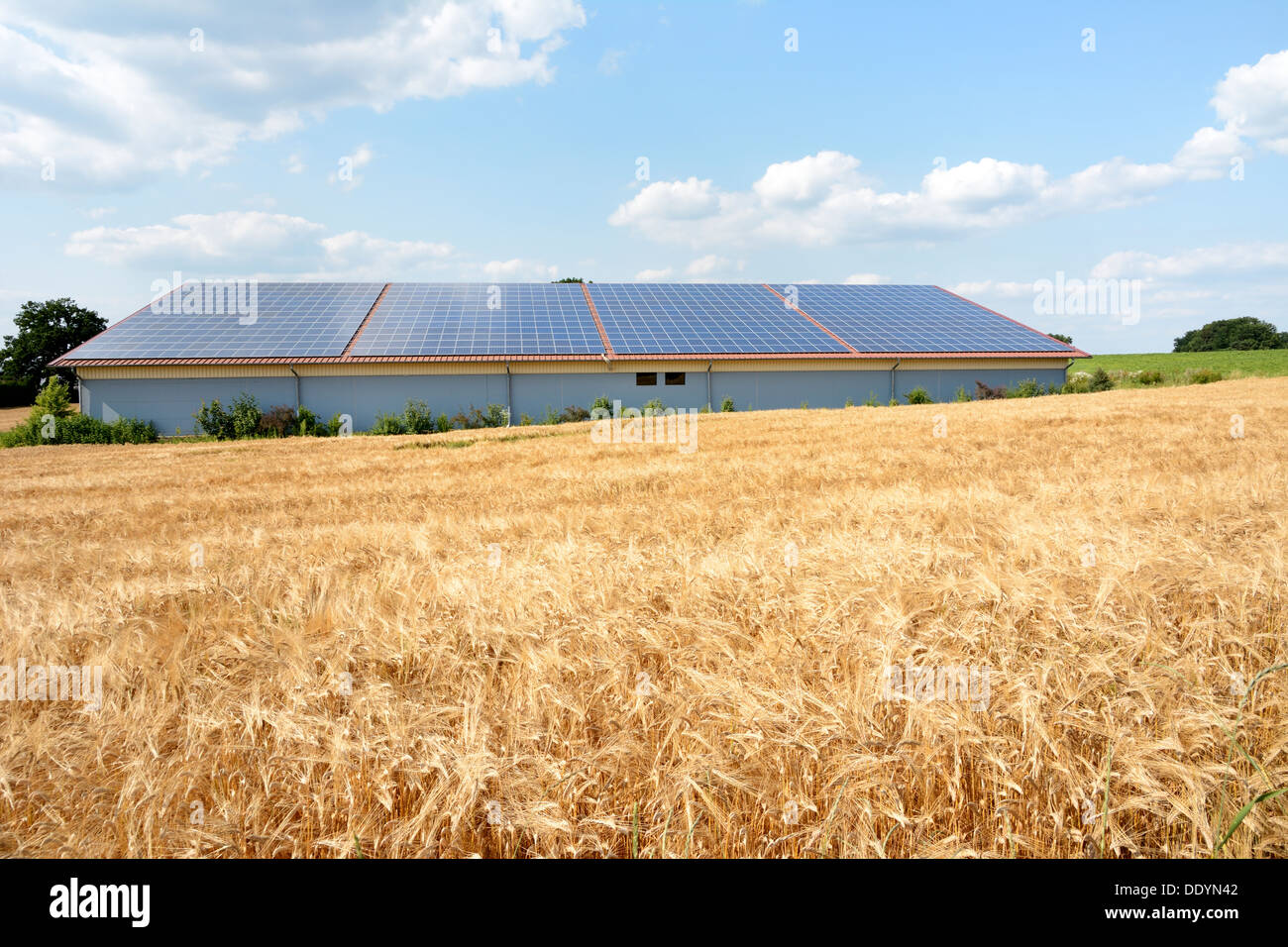 Solar panels agriculture hi-res stock photography and images - Alamy