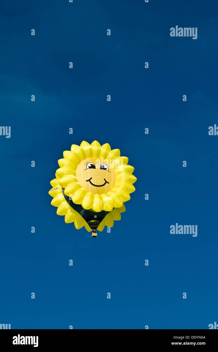 Smiley Face Sunflower High Resolution Stock Photography and Images - Alamy