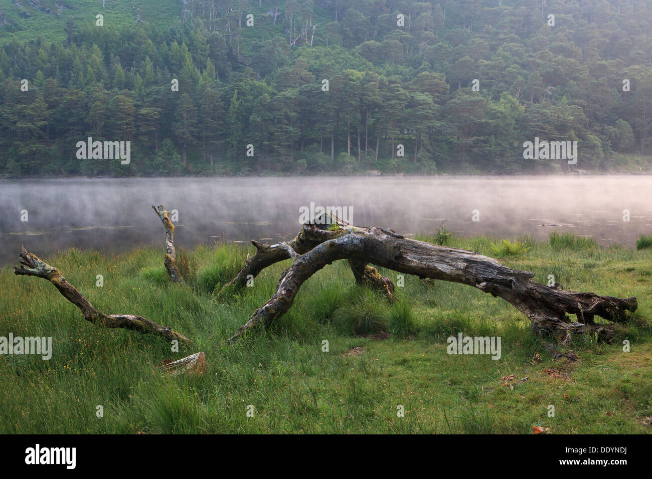 Mist at the Upper Lake at Glendalough, Ireland Stock Photo - Alamy