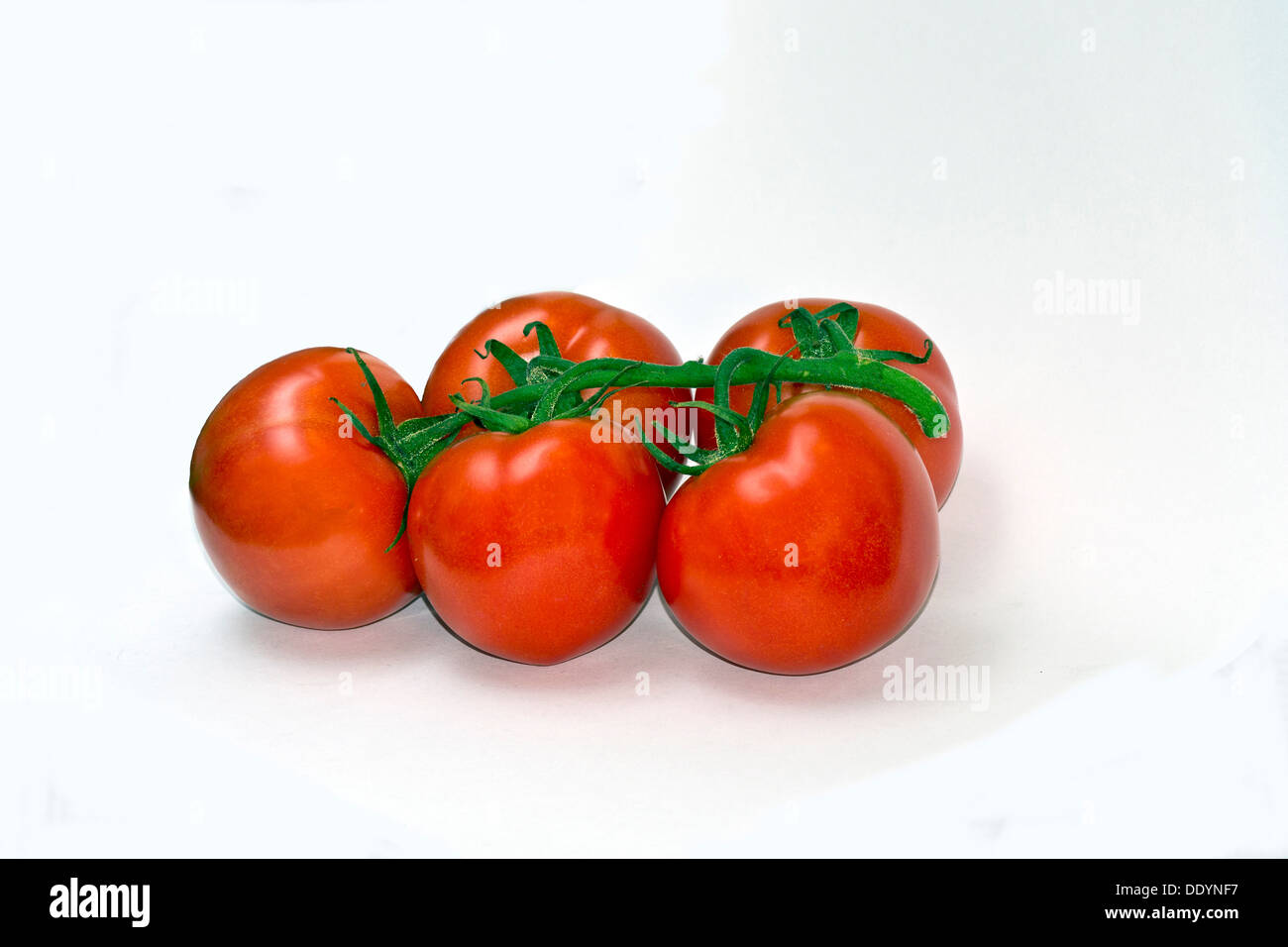 Tomatoes isolated in white Stock Photo - Alamy