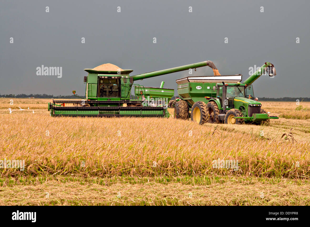 Rice farming tractor hi-res stock photography and images - Alamy