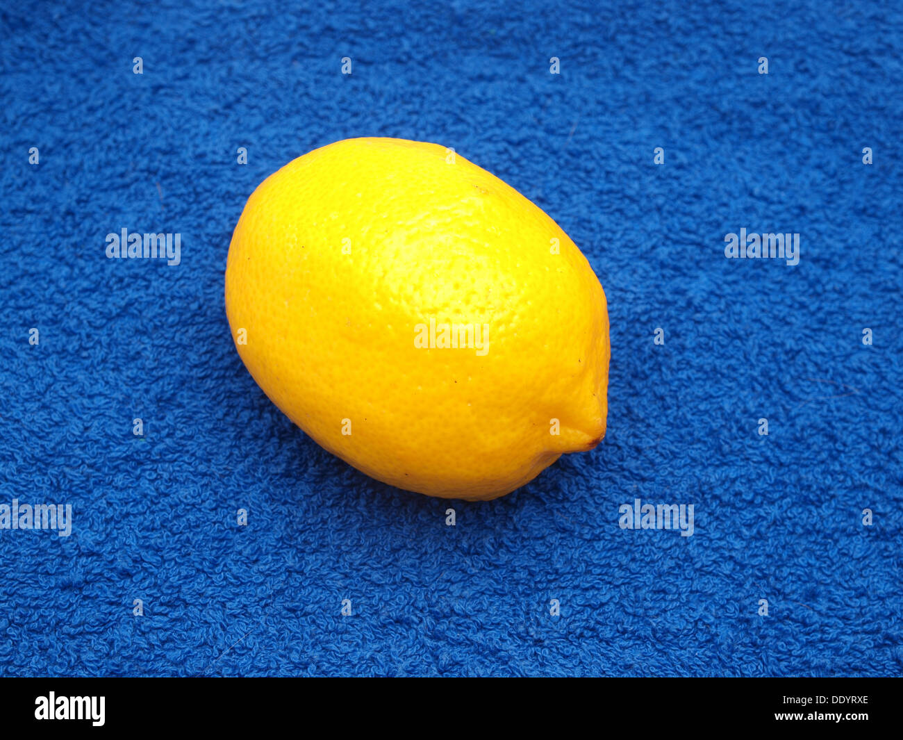 Lemon on a dark blue fabric Stock Photo - Alamy