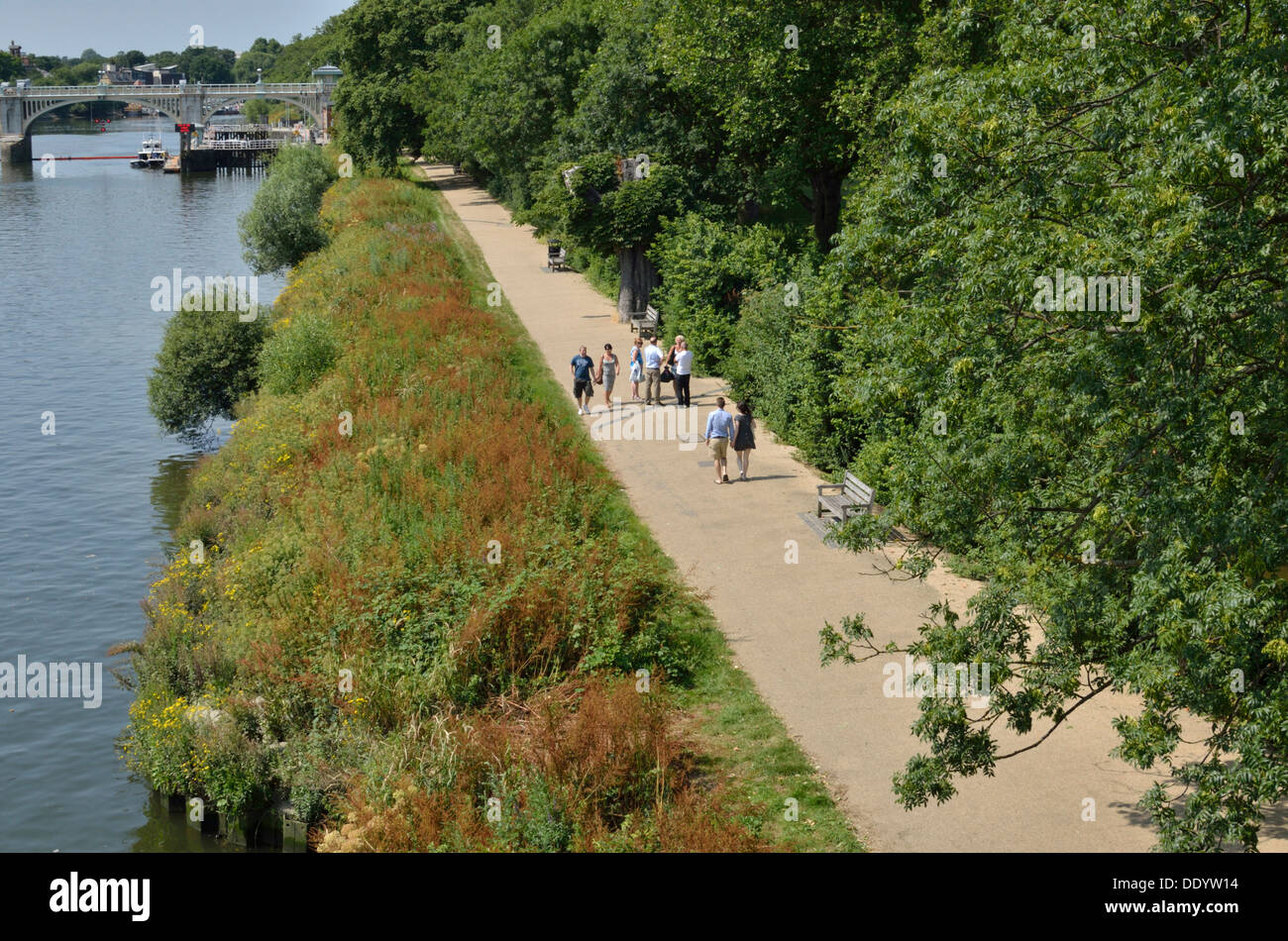 Thames path river kew london hi-res stock photography and images - Alamy