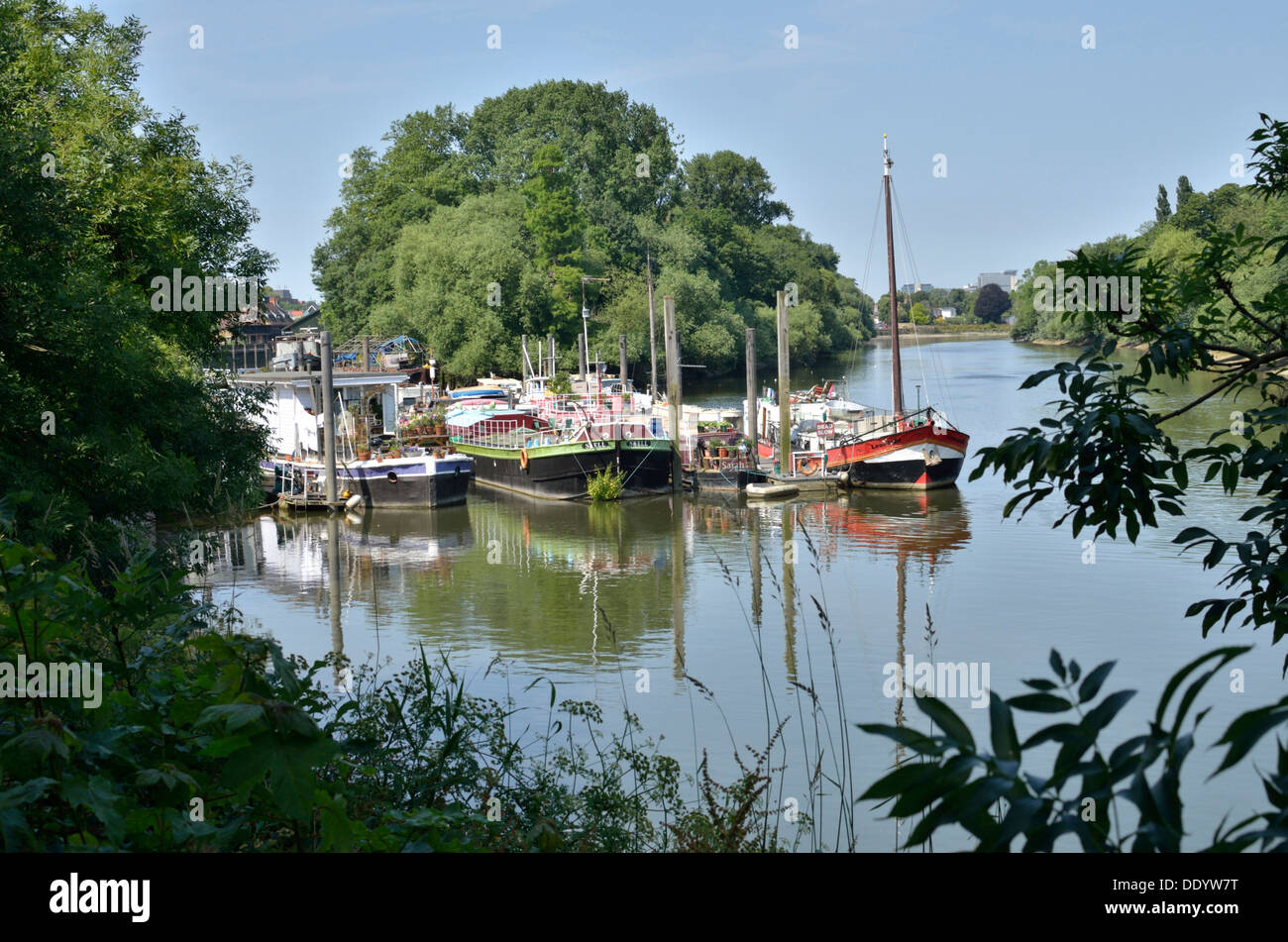 Houseboats on the River Thames at Isleworth, London, UK Stock Photo - Alamy