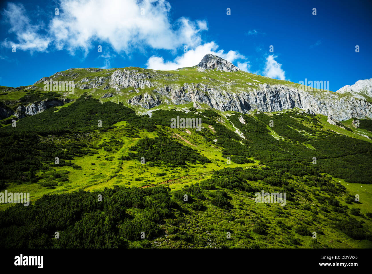 Alpine fresh air hi-res stock photography and images - Alamy