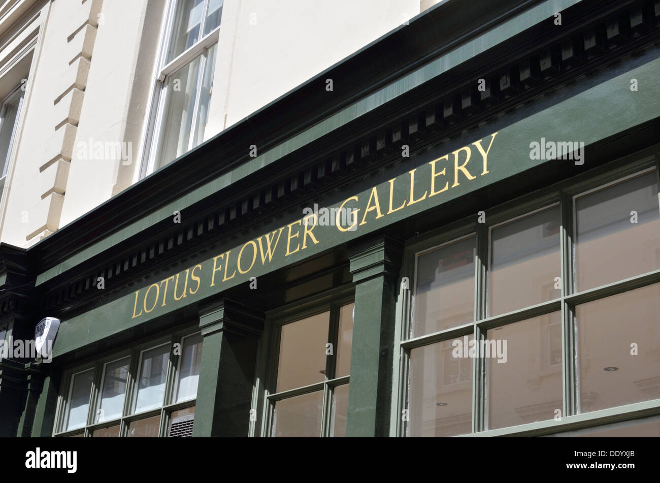 Lotus Flower Gallery in Bury Place, Bloomsbury, London, UK Stock Photo ...