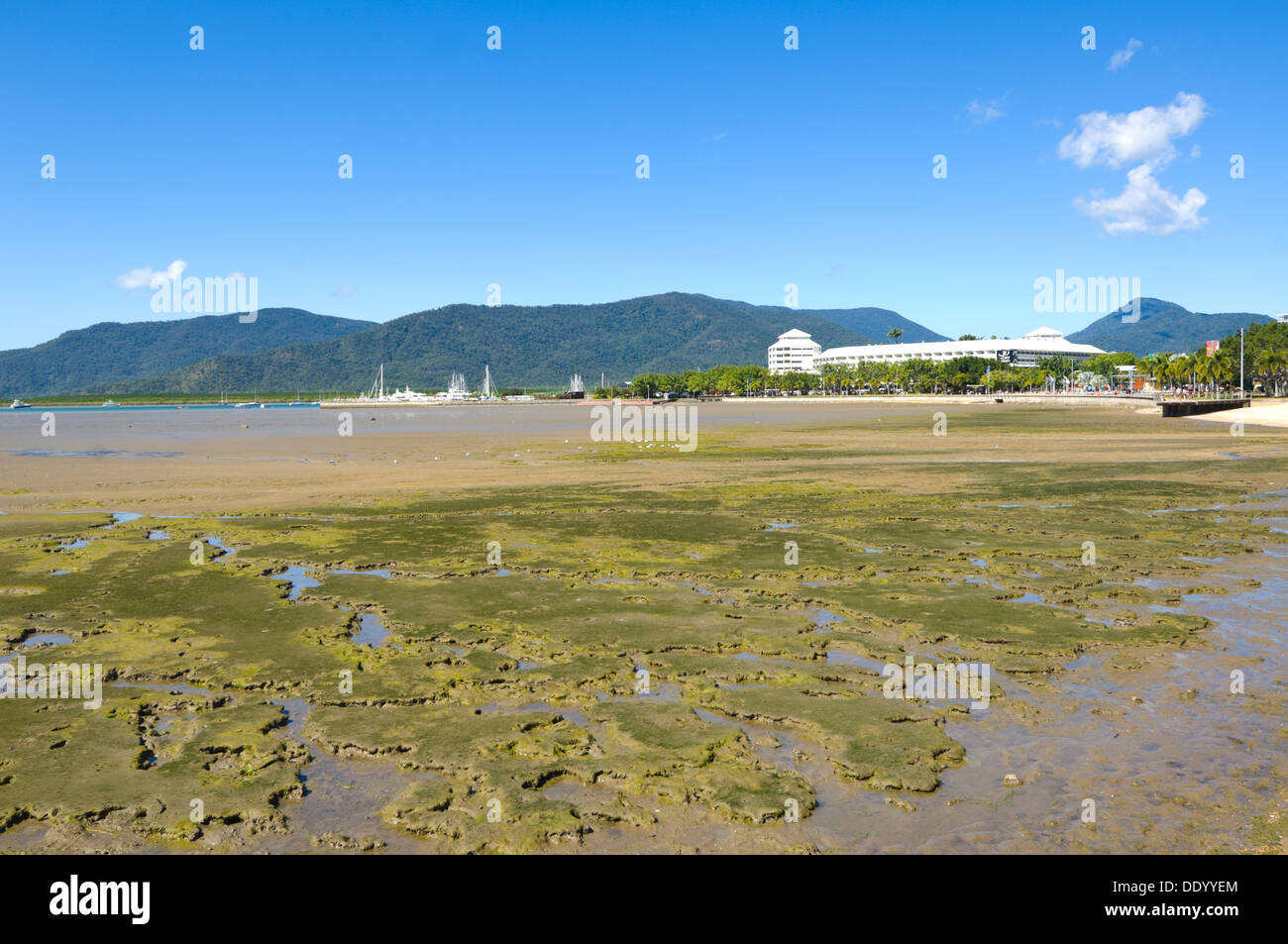 Trinity bay cairns australia hi-res stock photography and images - Alamy