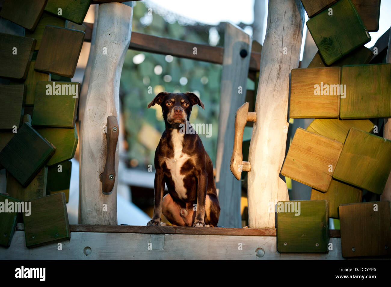 Sitting at bridge hi-res stock photography and images - Alamy