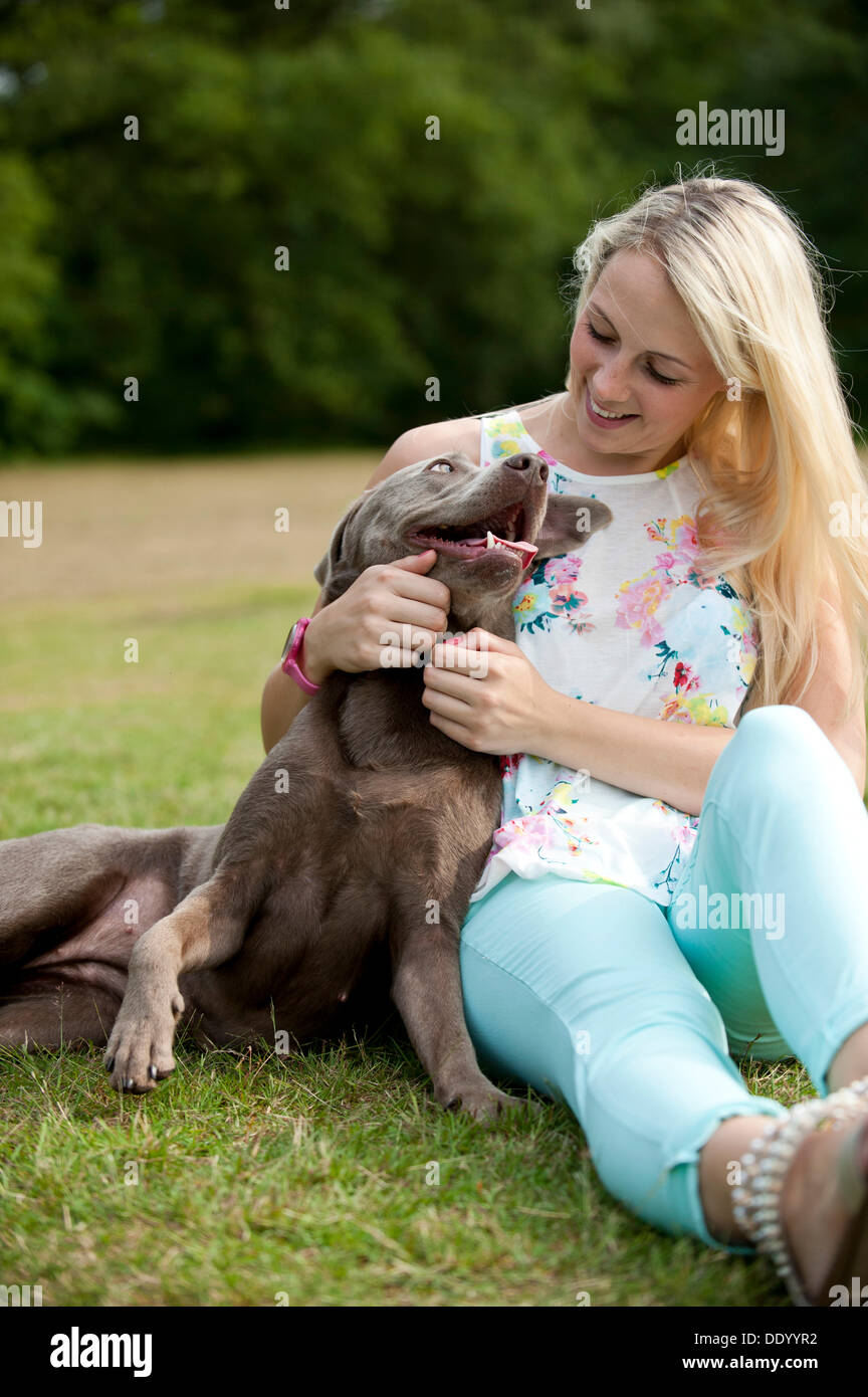 A labrador retriever hi-res stock photography and images - Alamy