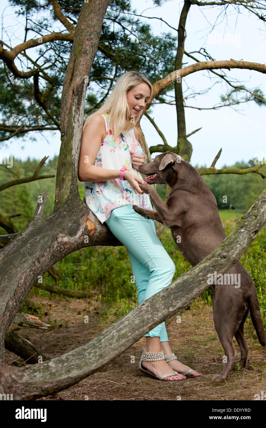 Labrador Retriever jumping up on a woman Stock Photo - Alamy