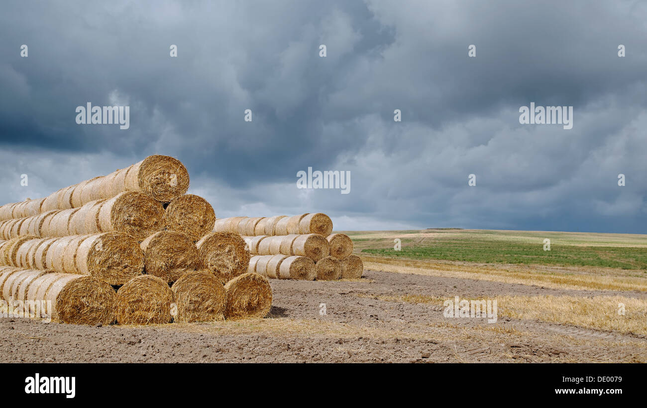 Straw rolls and stormy dark sky Stock Photo - Alamy