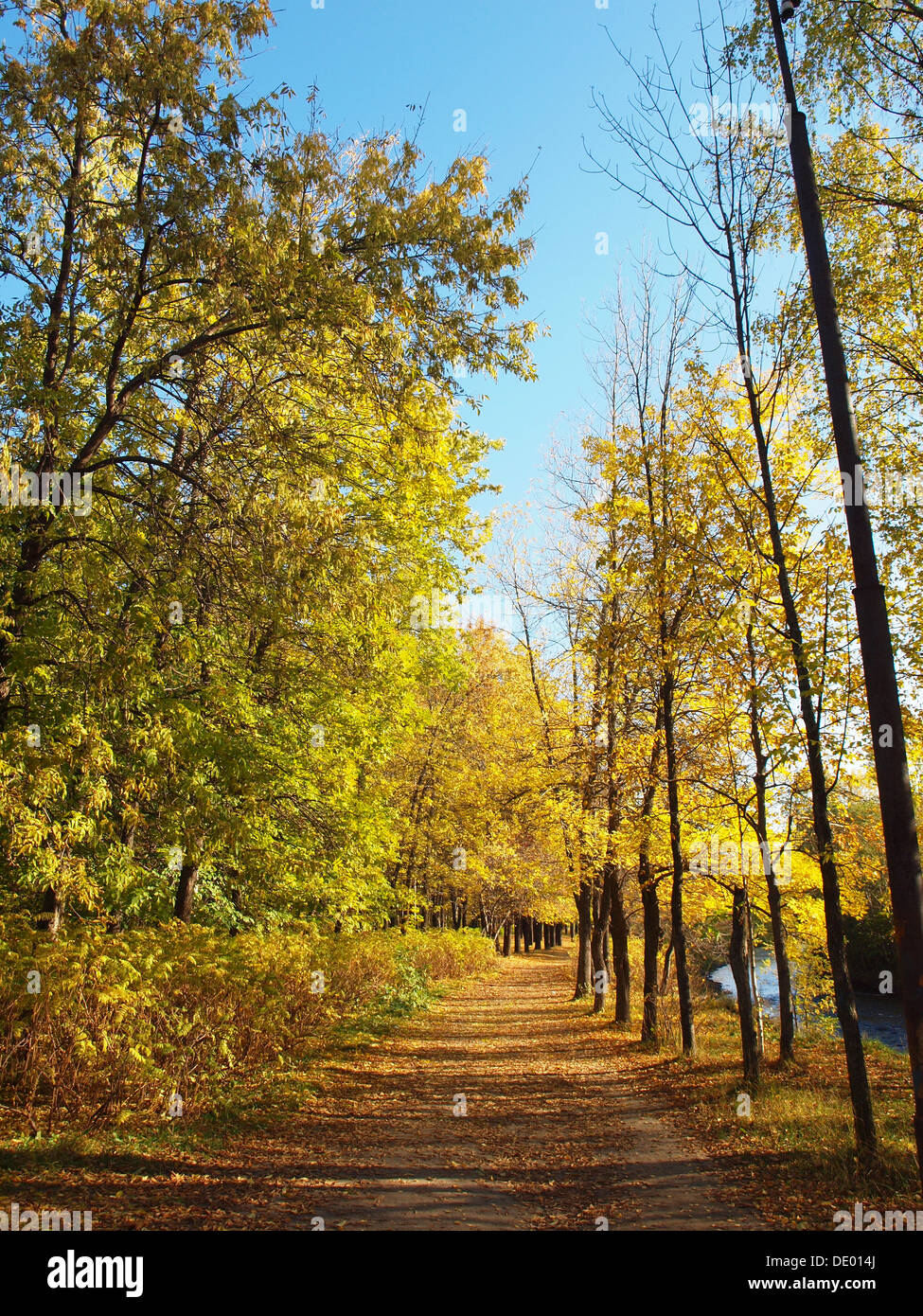 Park in the fall Stock Photo - Alamy