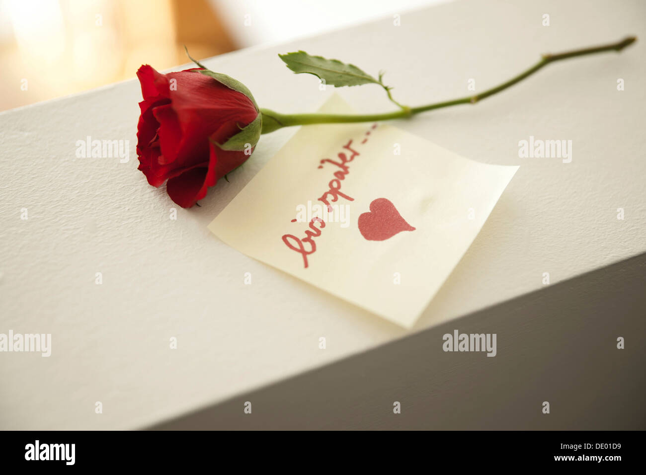 Bis spater hi-res stock photography and images - Alamy