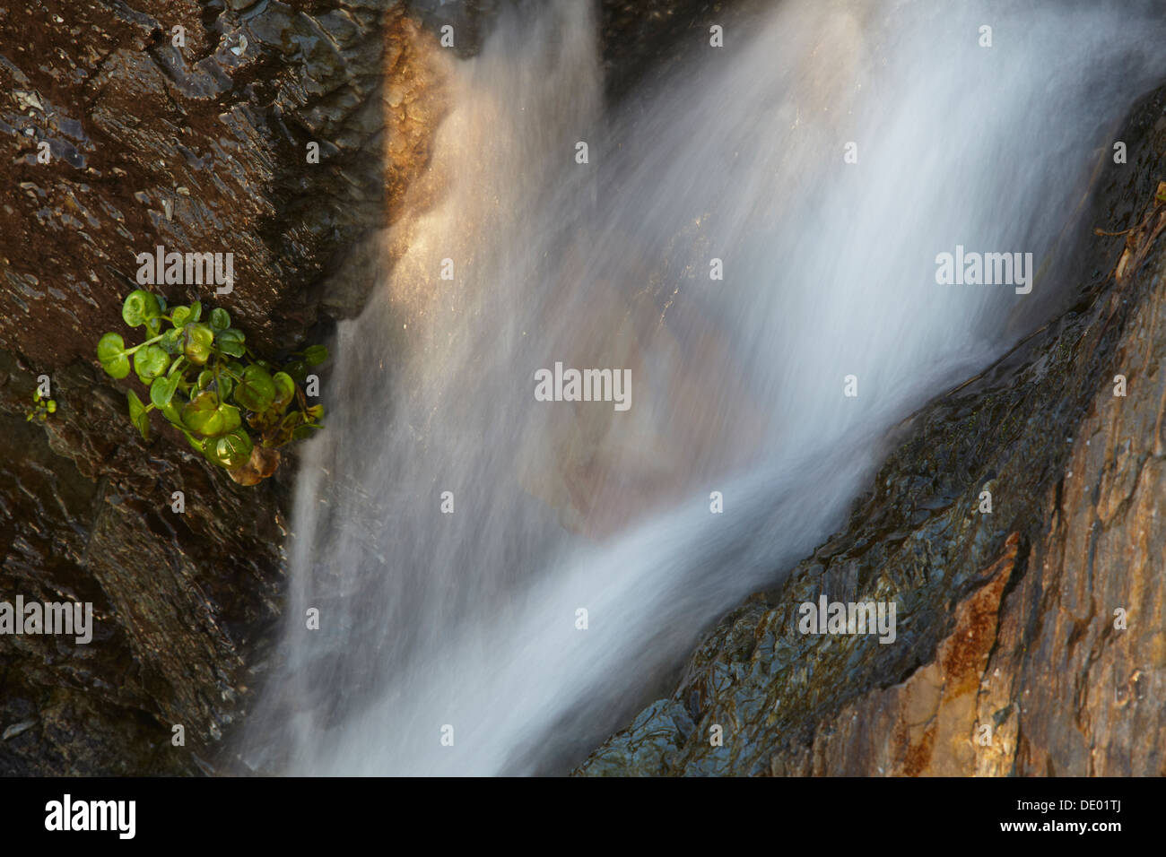 Waterfall above the beach at Rockham Bay, nr Mortehoe, nr Woolacombe ...