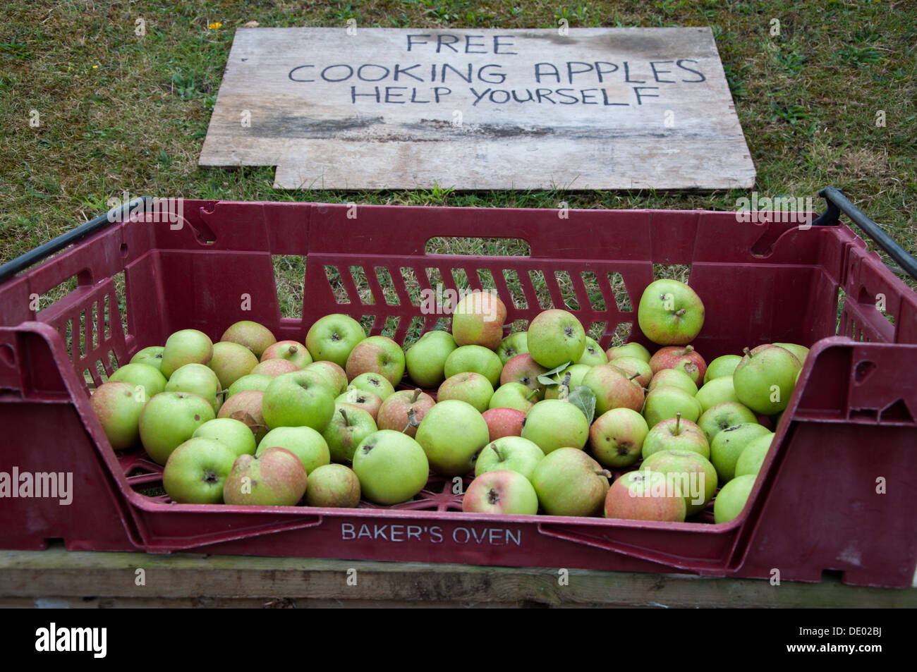 Apple scrumping hi-res stock photography and images - Alamy