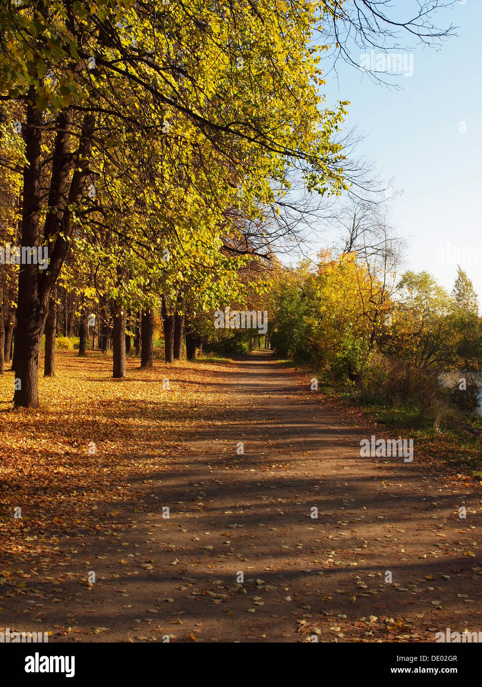 Park in the fall Stock Photo - Alamy