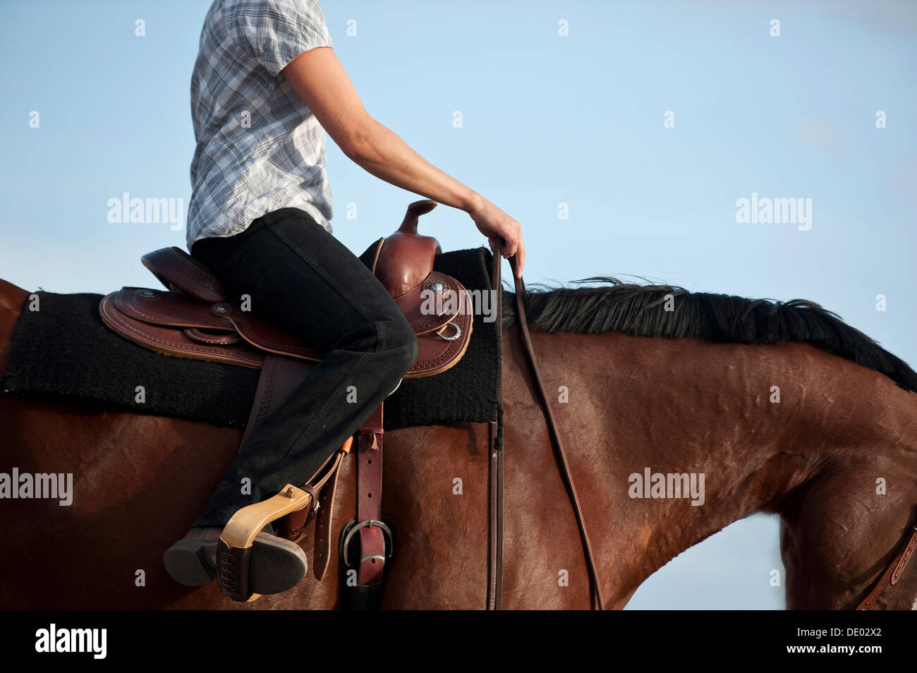 Woman on a Quarter Horse, western-style riding Stock Photo - Alamy