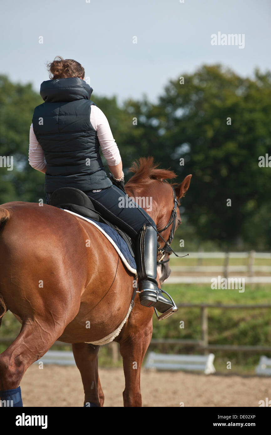 Woman riding a horse, English riding Stock Photo - Alamy
