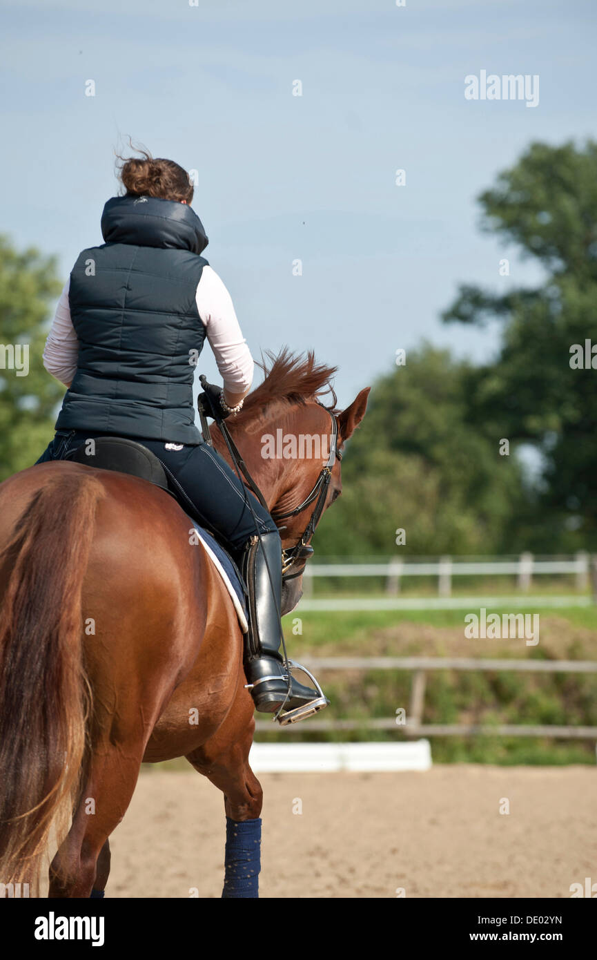 Woman riding a horse, English riding Stock Photo - Alamy