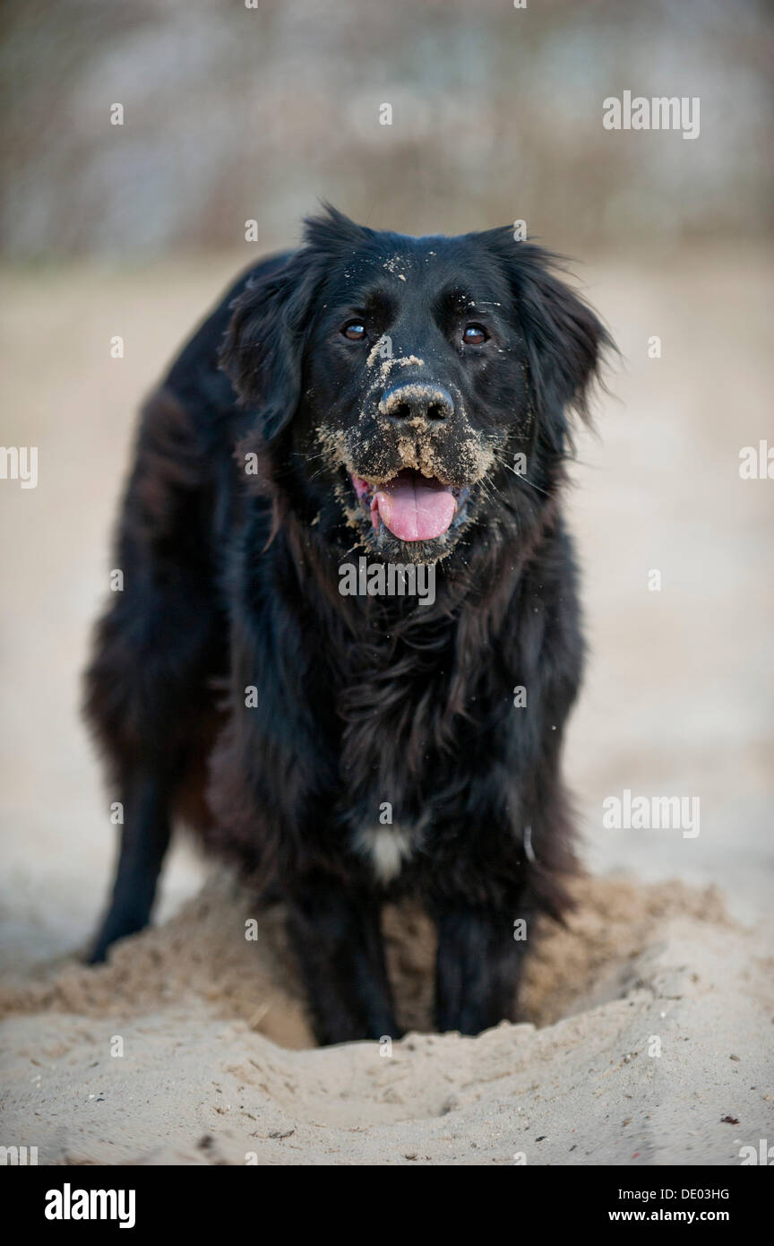 Black hole looks hi-res stock photography and images - Alamy