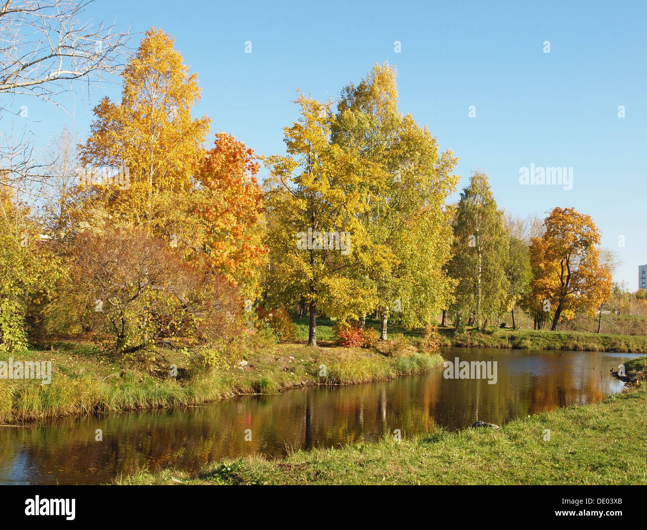Park in the fall Stock Photo - Alamy