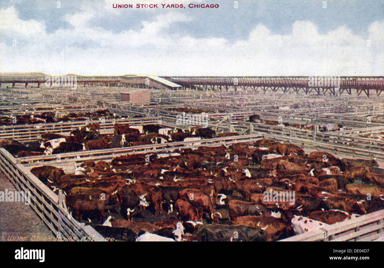 Union Stock Yards, Chicago, Illinois, USA, 1910. Artist: Unknown Stock ...