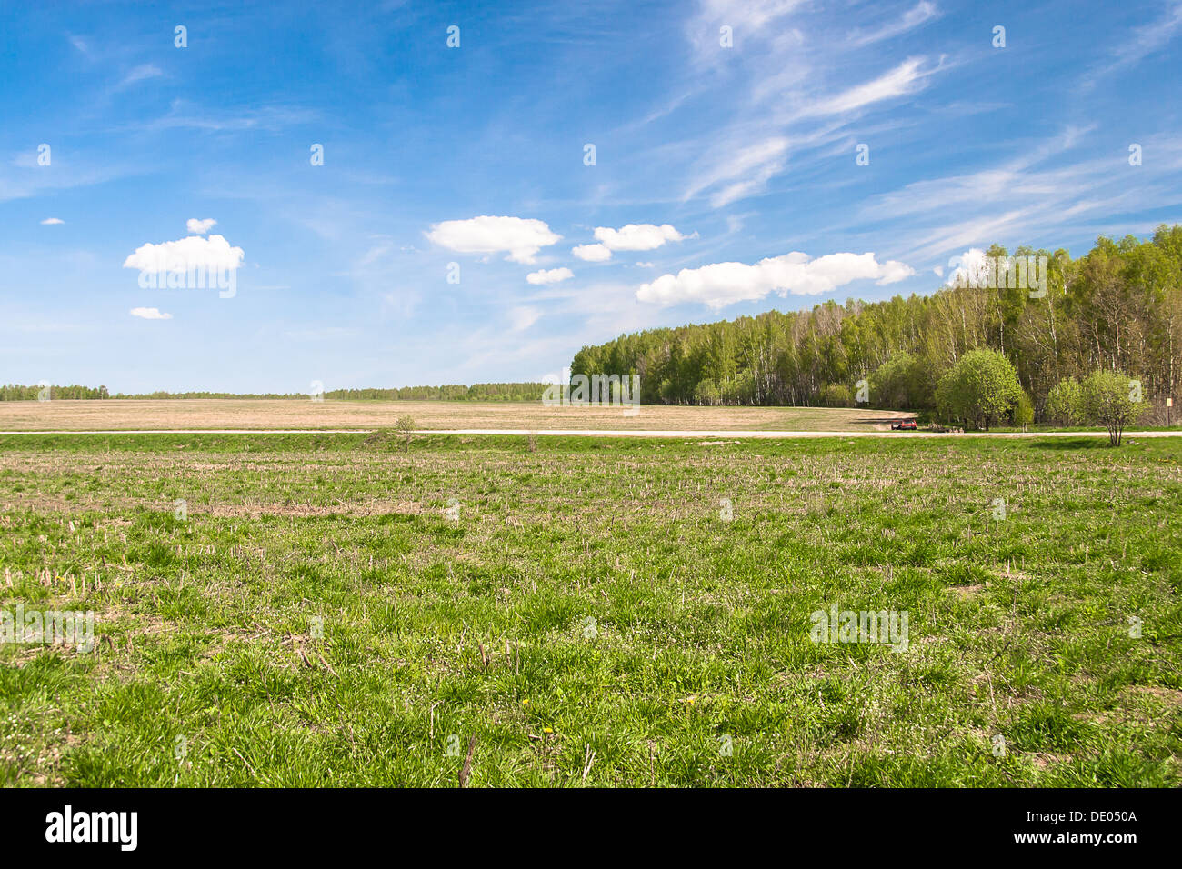 Summer landscape with grass field Stock Photo - Alamy