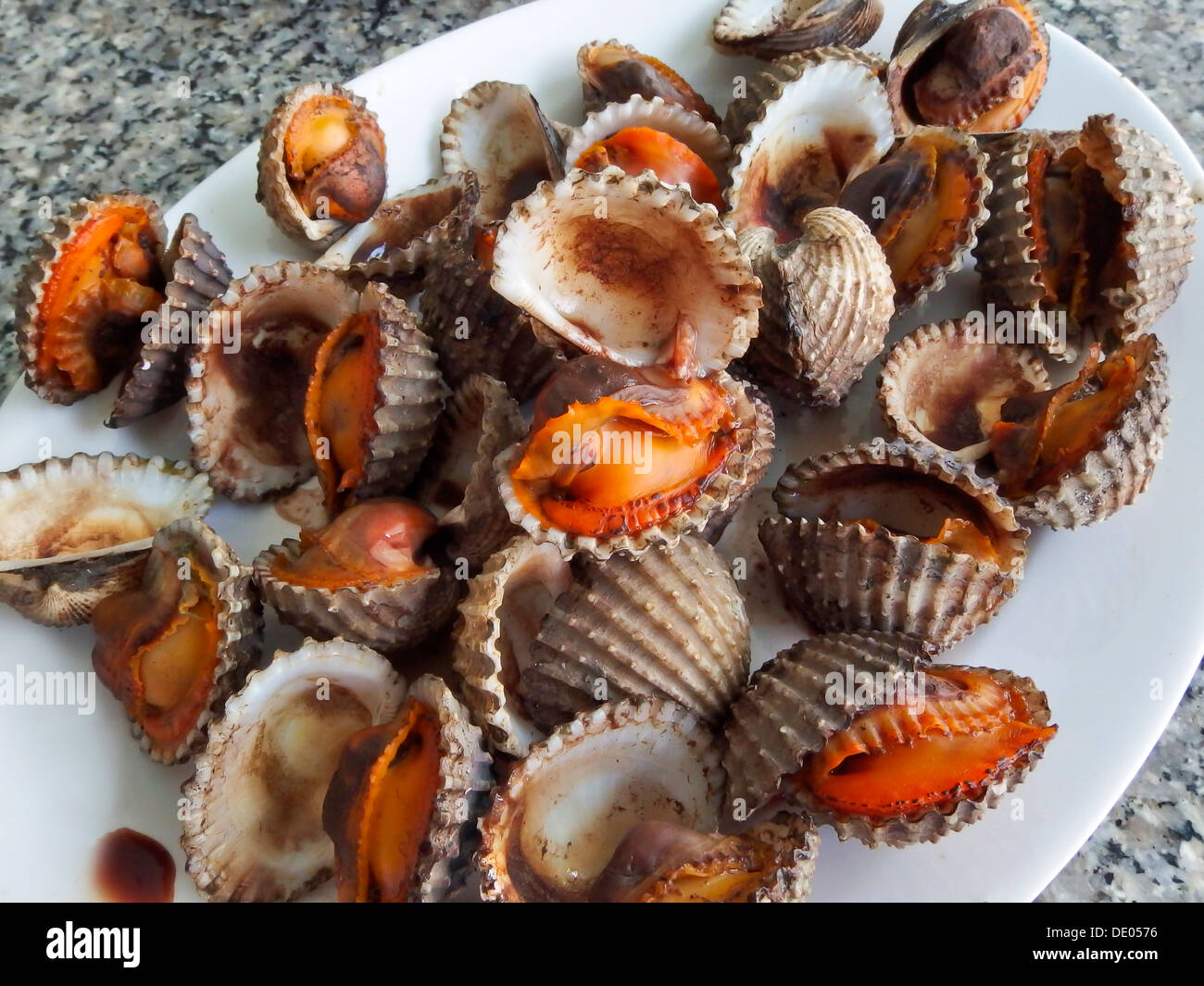 Common cockle shell hi-res stock photography and images - Alamy