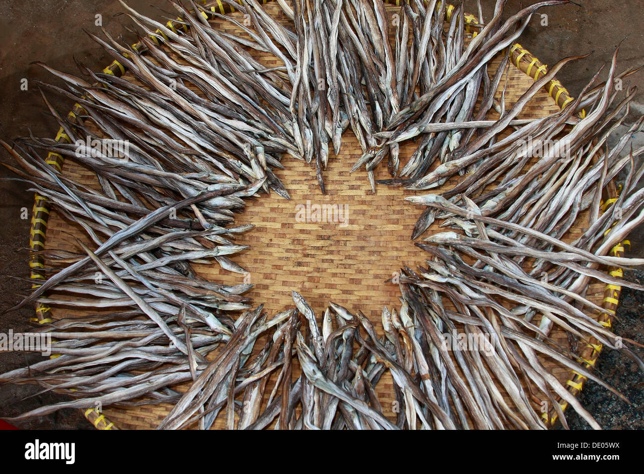Dried fish are offered at the Duong Dong market for sale, Phu Quoc ...