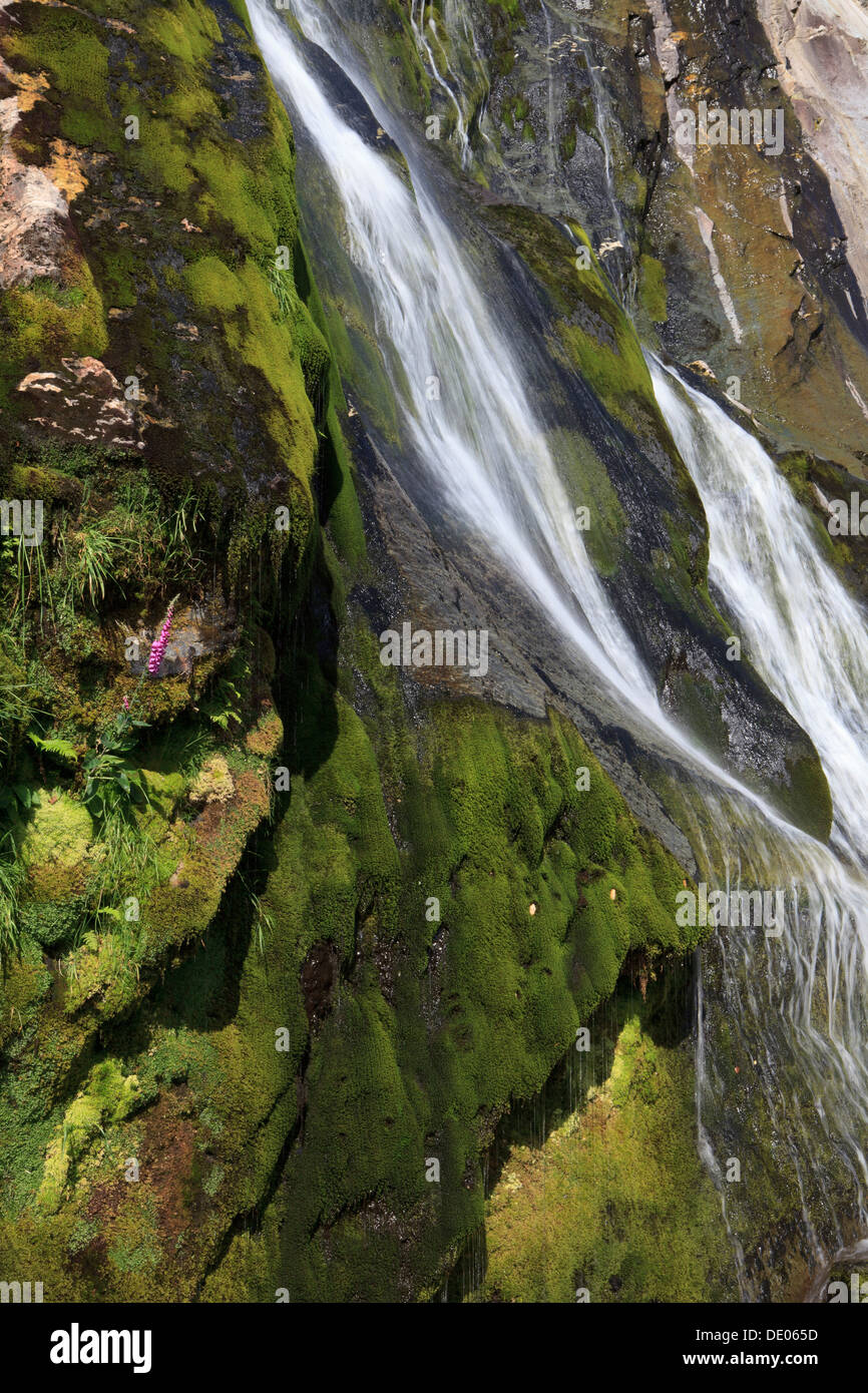 Powerscourt Waterfall in County Wicklow, Ireland Stock Photo - Alamy