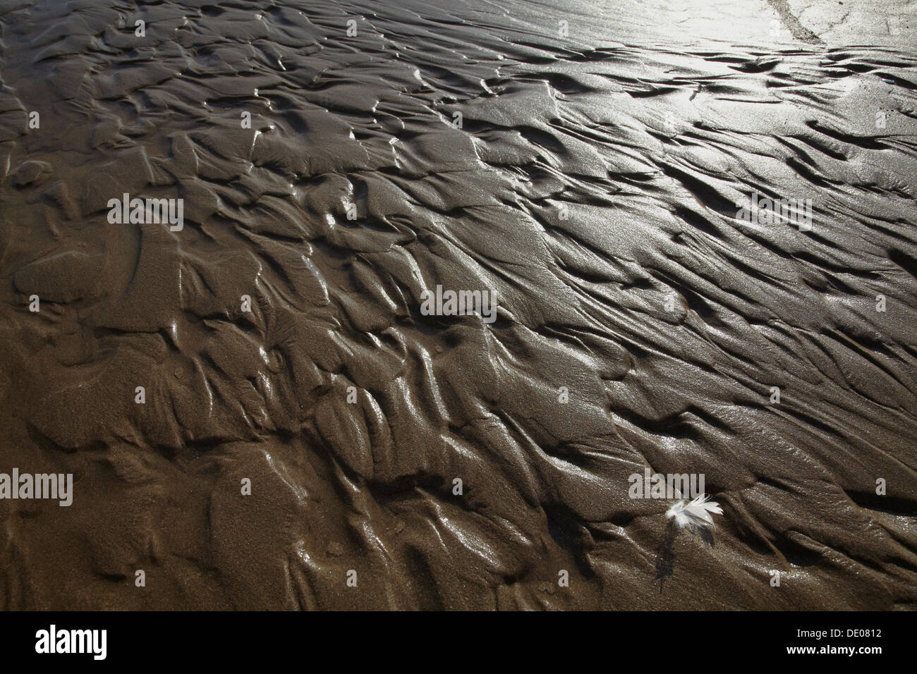 A natural pattern in wet sand, on the beach at Woolacombe, north Devon ...
