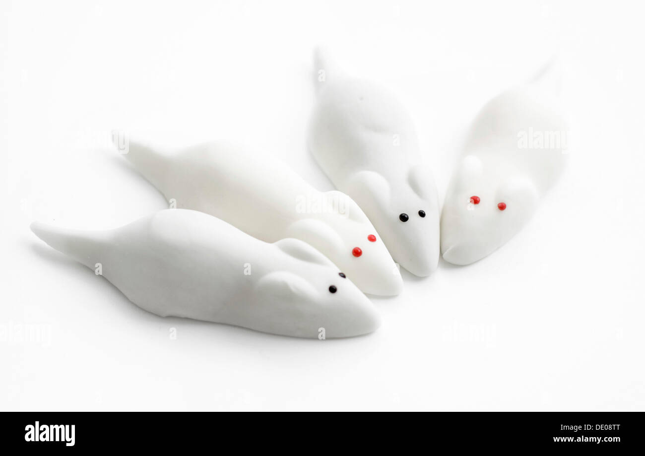 White mice hi-res stock photography and images - Alamy